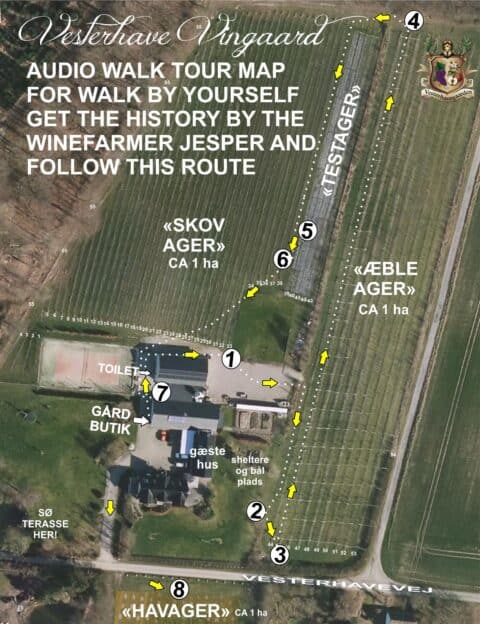 Besøg | Vesterhave Vingaard